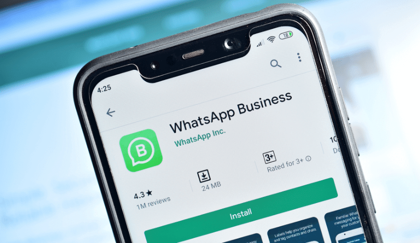 Types of WhatsApp Business Accounts + Key Features